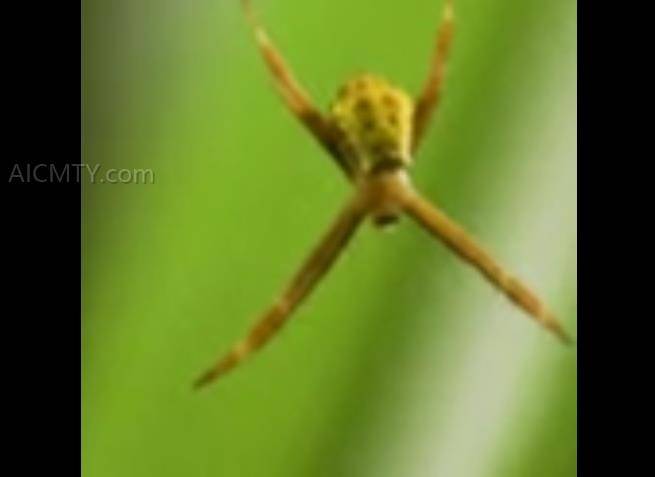 VideoGigaGAN：超分辨率视频模型走红，华人学者Xu yiyan带来新突破 – AICMTY